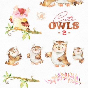 Cute Owls 2. Forest Birds Clip Art, Watercolor, Wreath, Florals ...