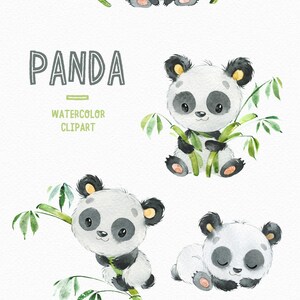 Panda. Little Animals Watercolor Clipart, Watercolor, Bear Panda Cub ...