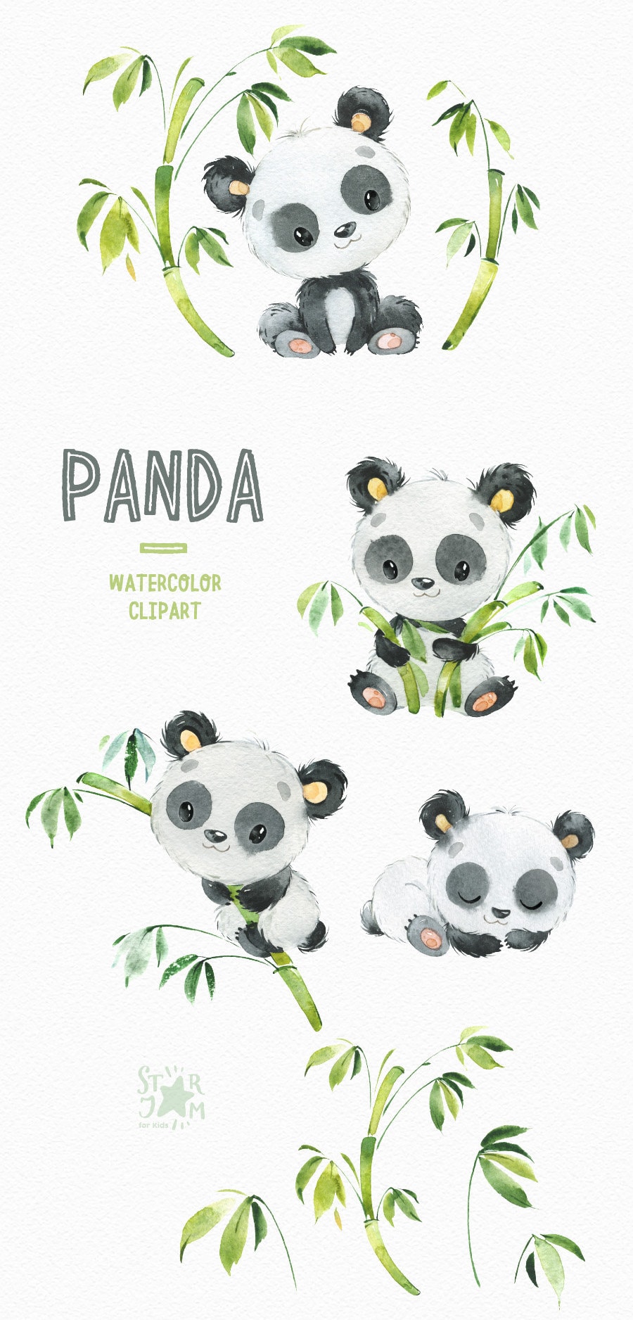 Panda. Little animals watercolor clipart watercolor bear | Etsy