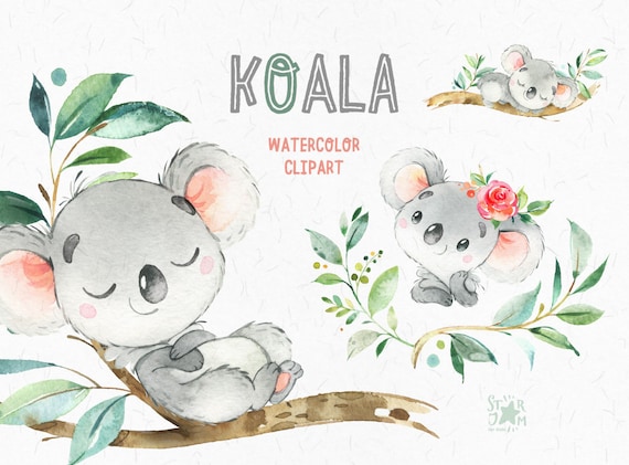 Australian Koala Clip Art
