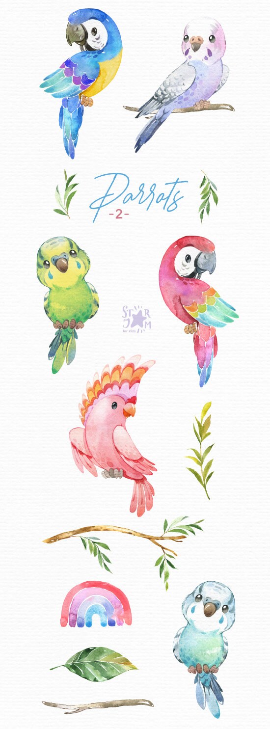Parrots 2. Watercolor Animals Clipart Bird Budgie Ara - Etsy