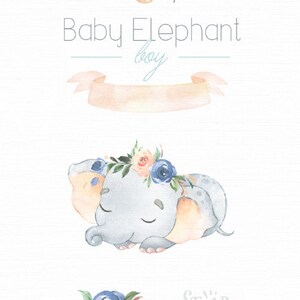 Baby Elephant. Boy. Watercolor Little Animal Clipart, Child, Blue ...