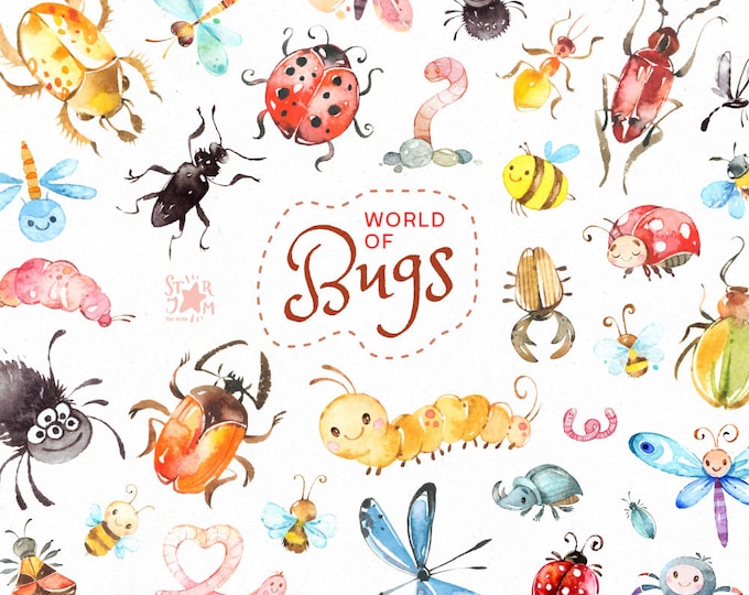 World of Bugs. Watercolor Clipart, Forest, Insect, Wild, Beetle ...