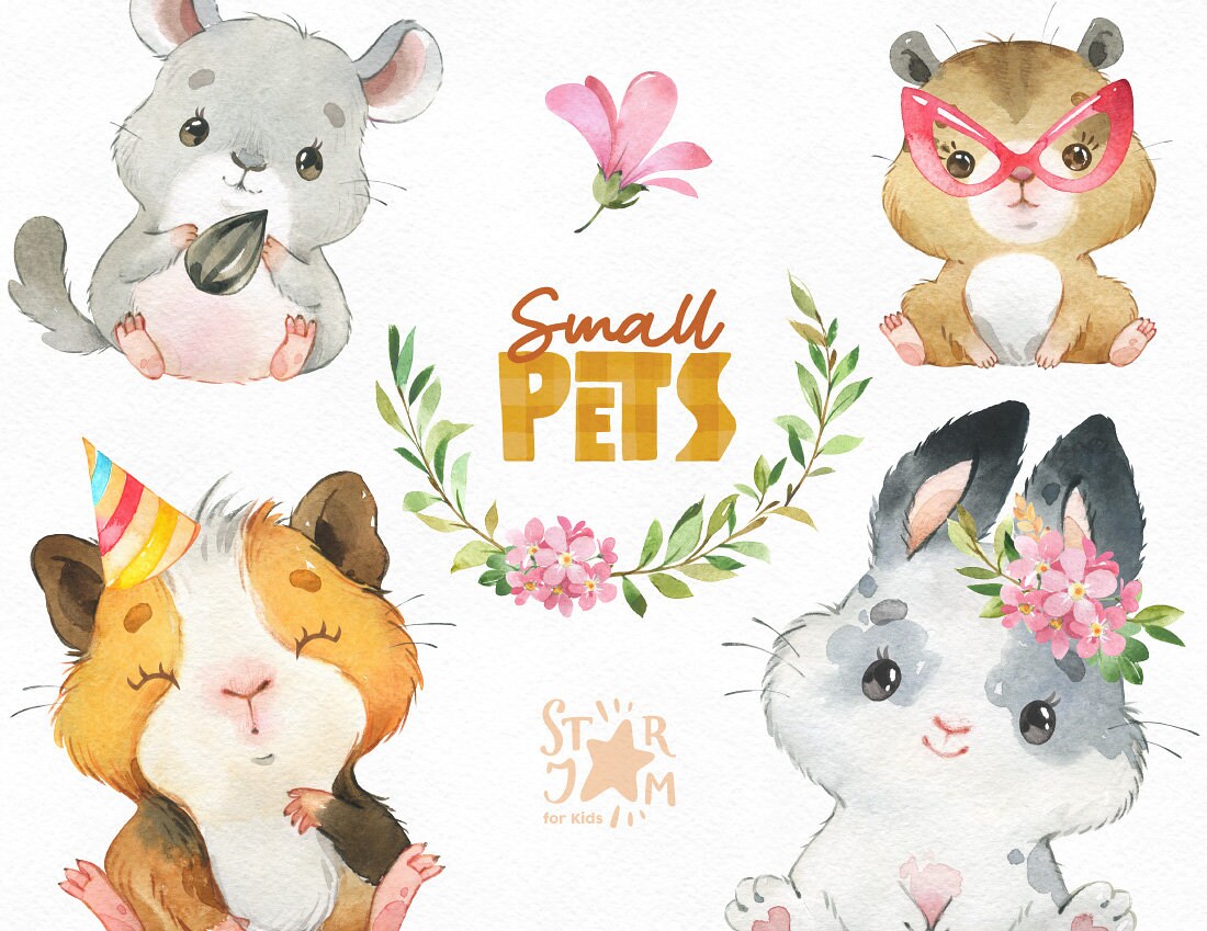 Small Pets. Watercolor Clipart Guinea Pig Rabbit Hamster - Etsy