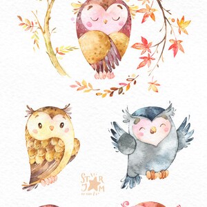 Cute Owls. Forest Birds Clip Art, Watercolor, Wreath, Florals, Greeting ...