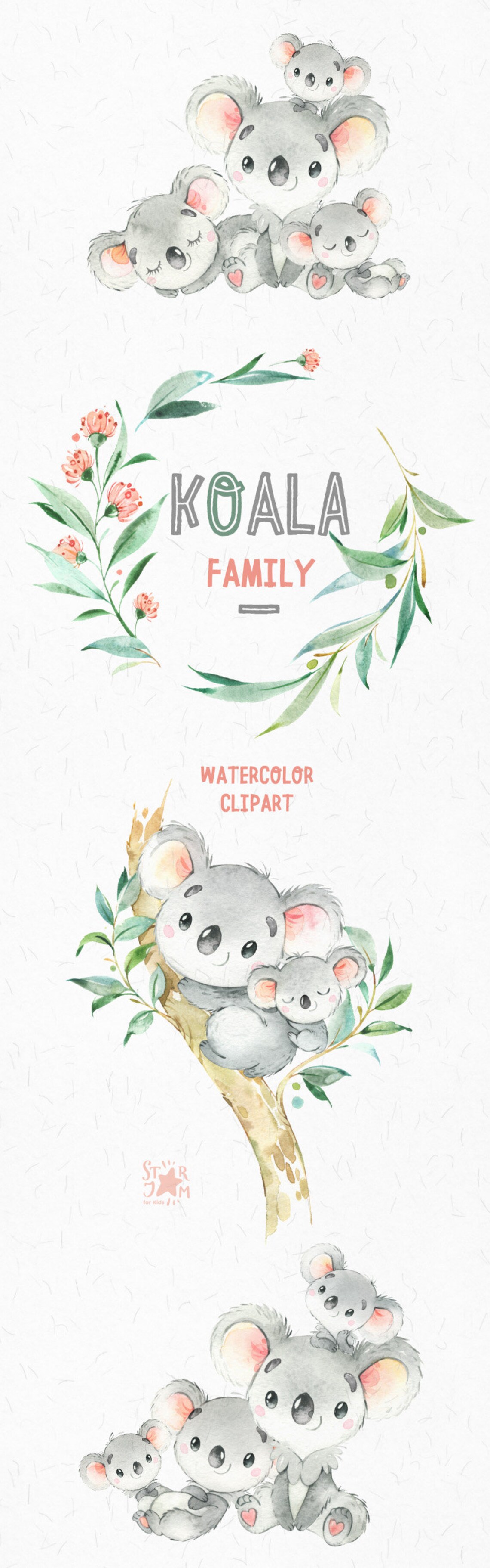 Koala Family. Little Animals Watercolor Clipart, Australia, Koala Bears ...