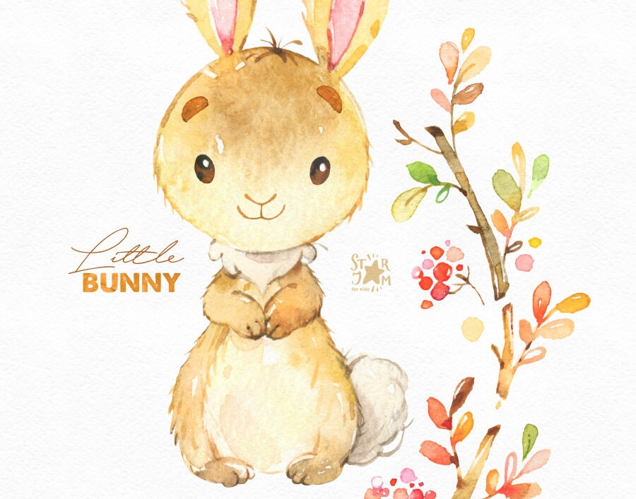 Little Bunny. Cute Animal Clipart Watercolor Woodland | Etsy Australia