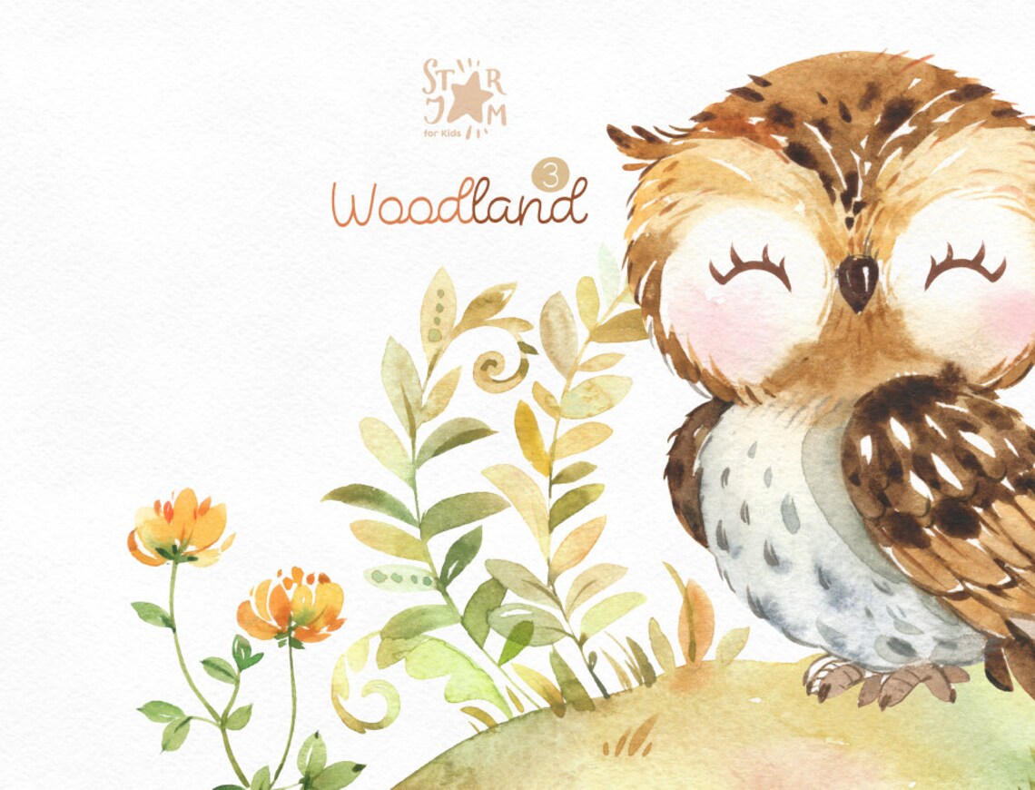 Woodland 3. Little Animals Watercolor Clip Art Owl Rabbit - Etsy