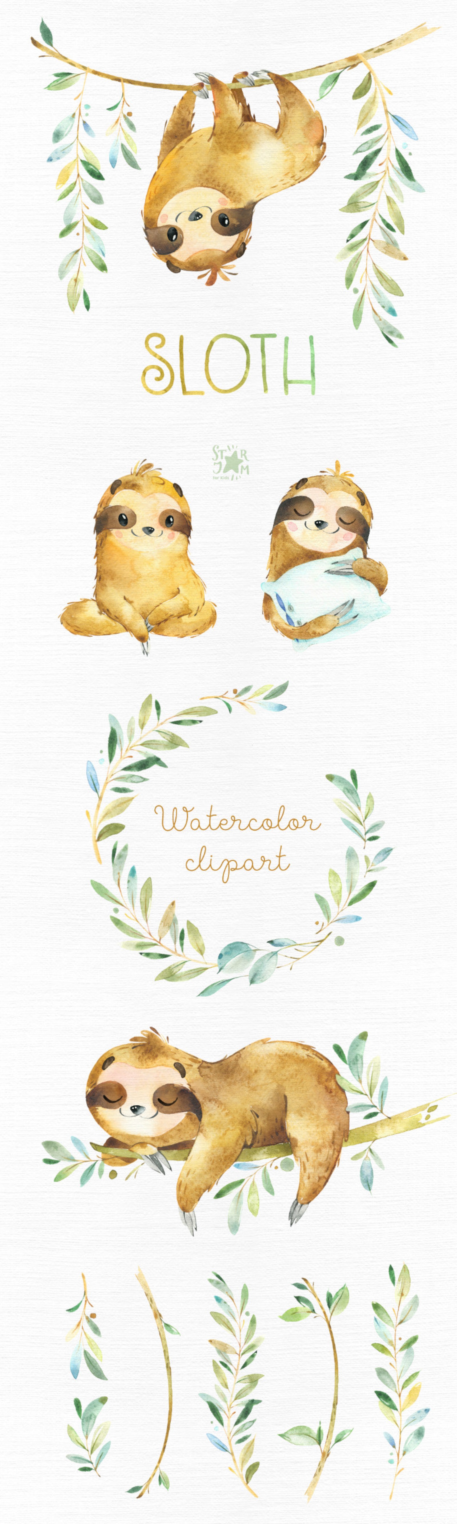 Sloth. Little Animals Watercolor Clipart Sleepy Sloths - Etsy