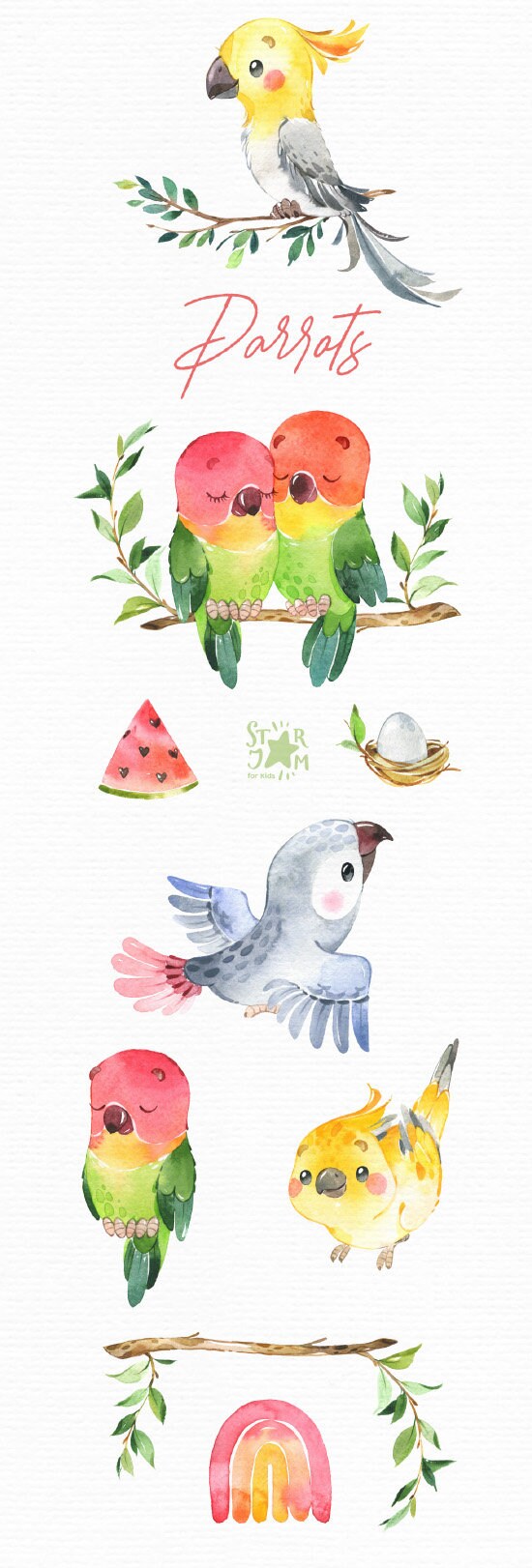 Parrots. Watercolor Animals Clipart Bird Greeting Jungle - Etsy
