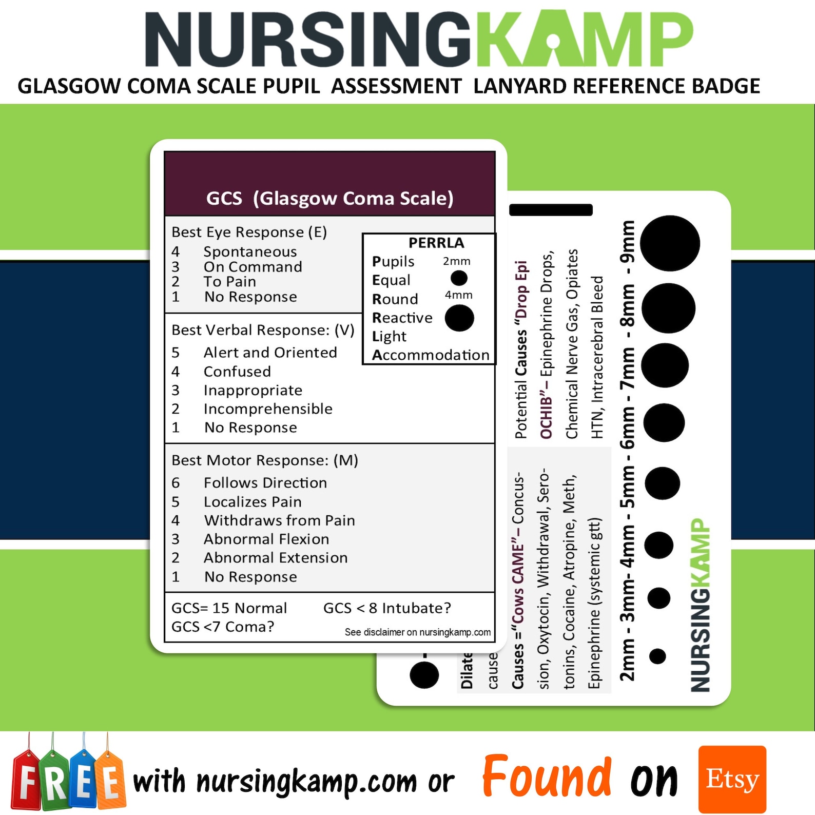 GCS Neuro Assessment Pupil Coma Scale Reference Badge ID | Etsy
