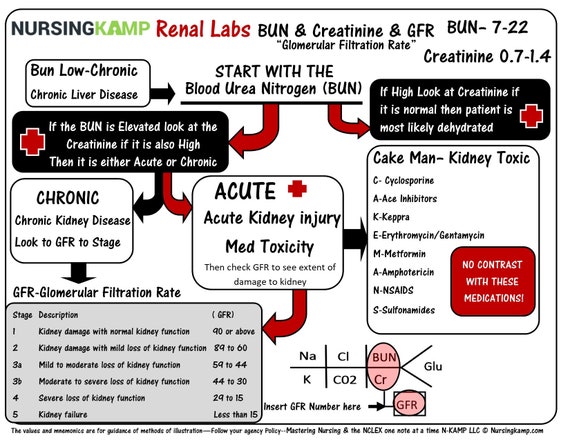 Nursing Mnemonics Lab Values
