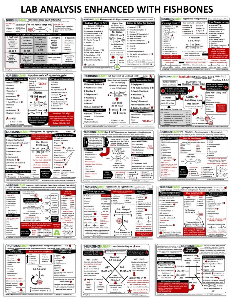 Clinical Book Med Surg Lab Book Quick Reference Medical - Etsy