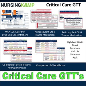 Travel Nurse 9 Badges ICU ICU Intern Critical Care Medications Drug ...