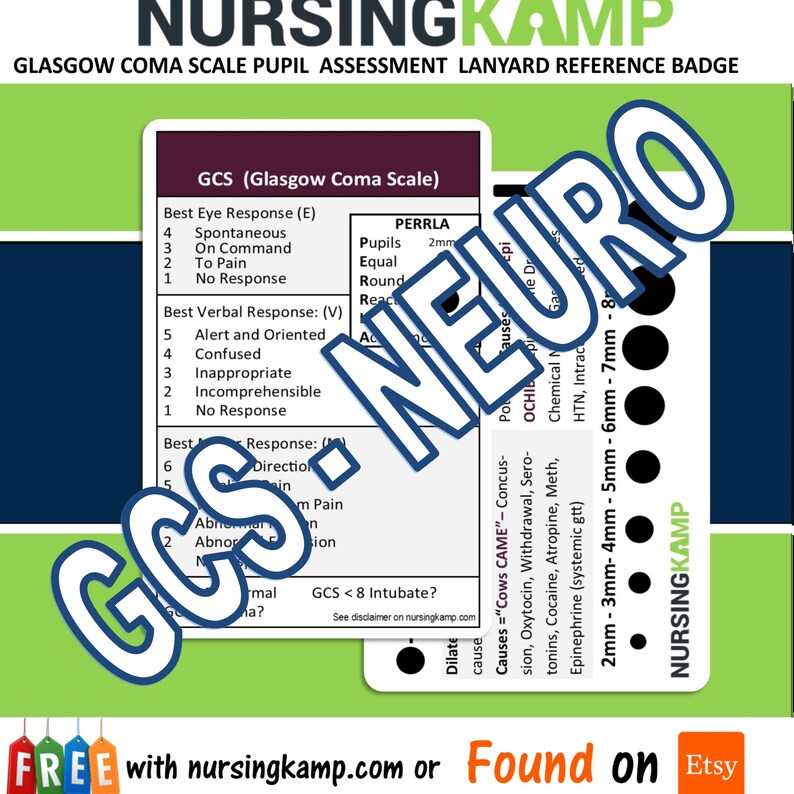 GCS Neuro Assessment Pupil Coma Scale Reference Badge ID | Etsy