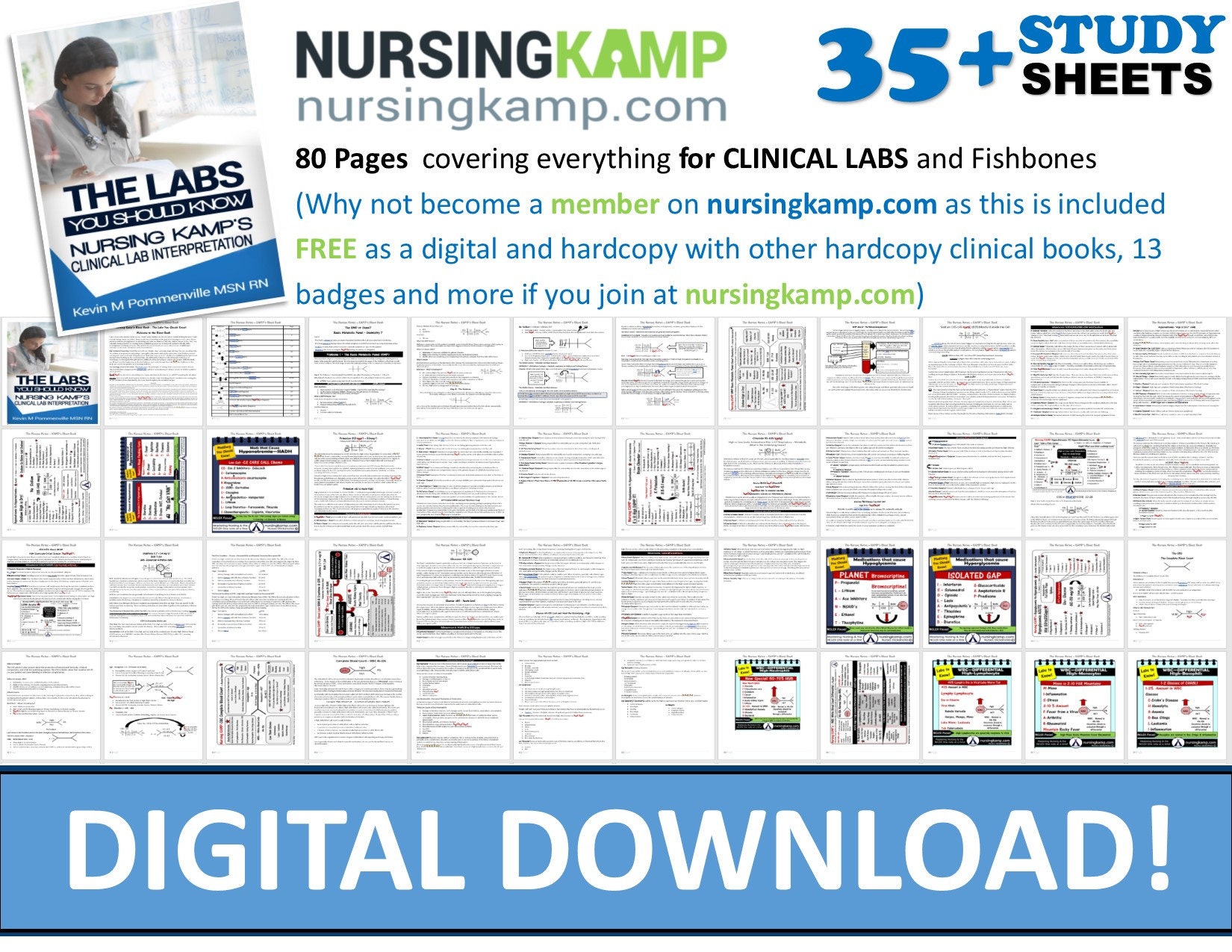 The Blood Book Labs made easy nursing student Lab Values Book | Etsy