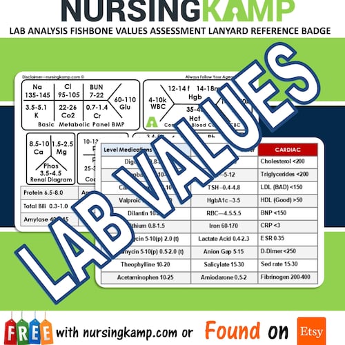 Insulin Reference Chart Horizontal Badge Card - Etsy