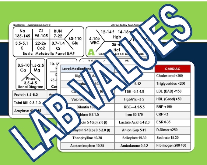 Labs Fishbone Medication Levels ABG Reference Badge ID Nursing Student ...