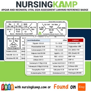 Labs Fishbone Medication Levels ABG Reference Badge ID Nursing Student ...