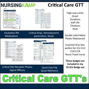 Travel Nurse 9 Badges ICU ICU Intern Critical Care Medications Drug ...