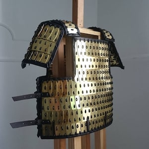 Lamellar Brass Armour With Sleeves #2 - Etsy