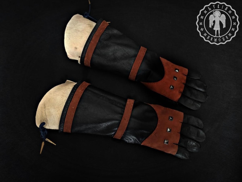 Witcher Inspired, Geralt of Rivia, Legendary Viper School Armor Set ...