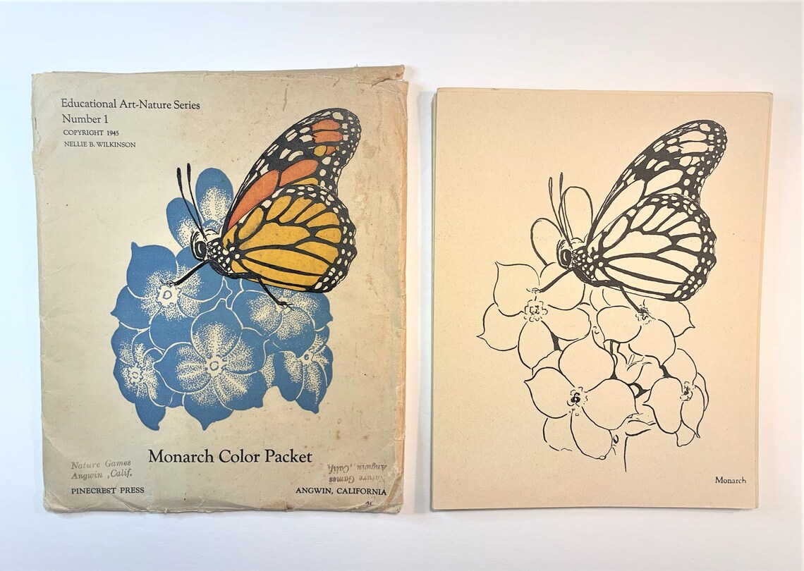 Vintage 1940's Coloring Pages. Educational Art-nature - Etsy