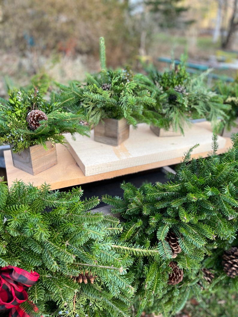 Fresh Holiday Balsam & Pinecone Arrangement Cube - Etsy