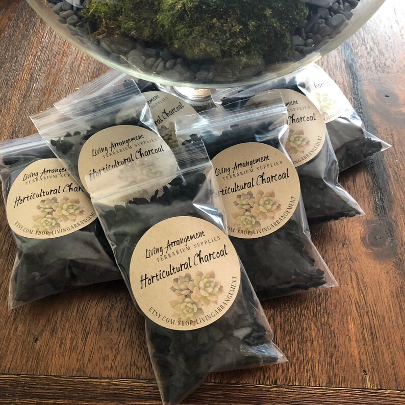 Horticultural Charcoal Soil Purifier and Aerator Terrarium | Etsy