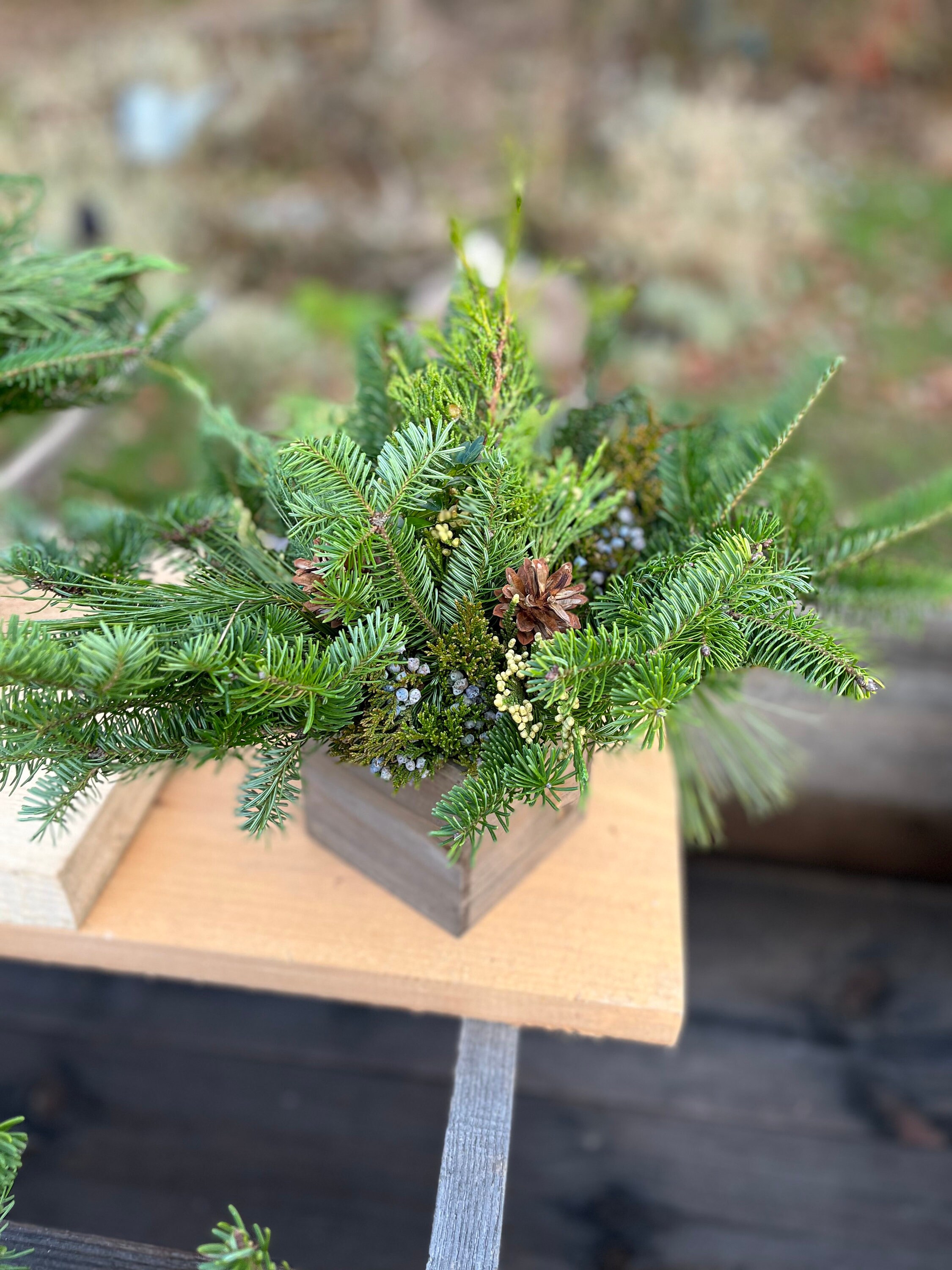 Fresh Holiday Balsam & Pinecone Arrangement Cube - Etsy