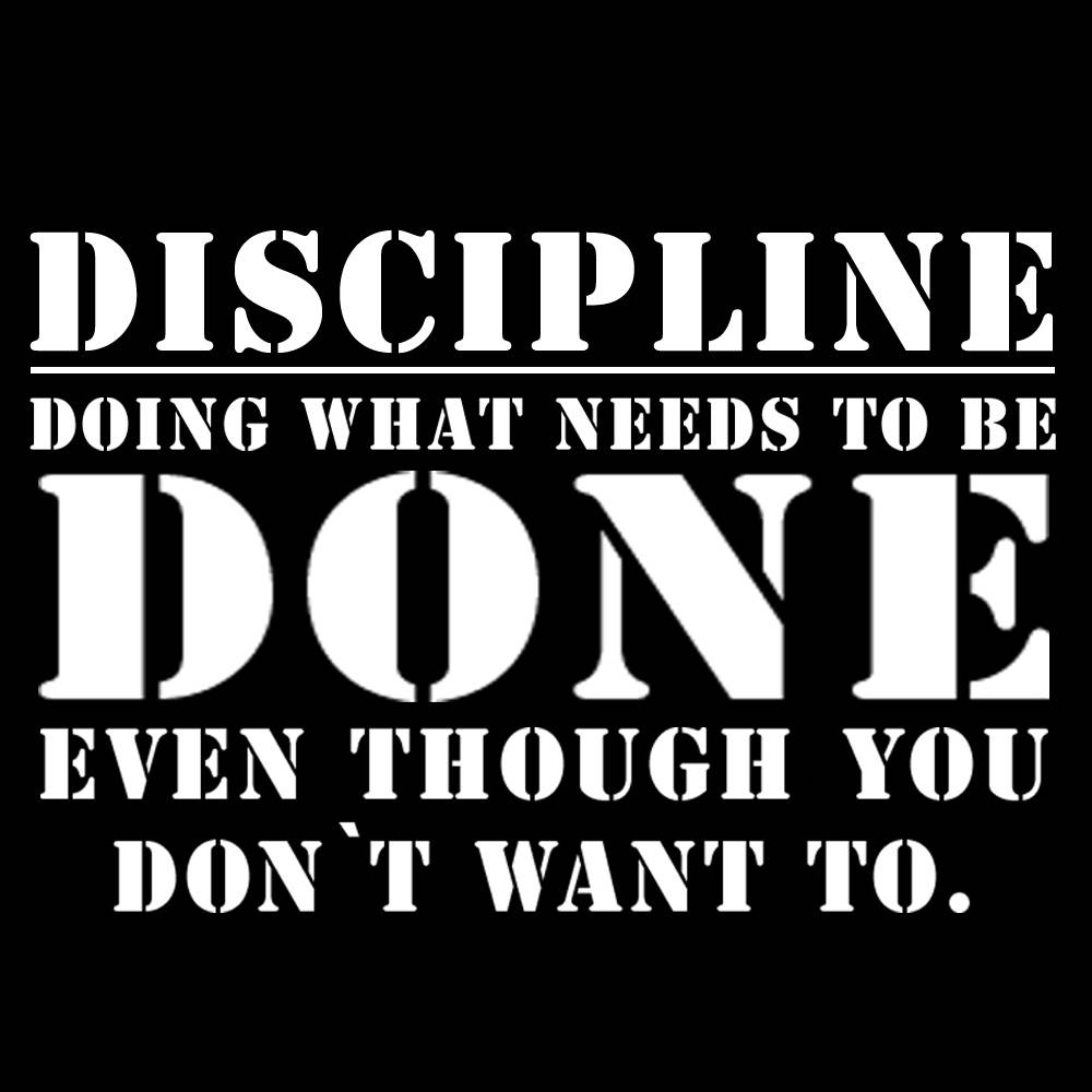 Discipline Quote Vinyl Decal Wall Art | Etsy