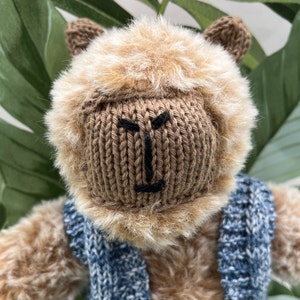 Barry the Capybara Knitting Kit - Make Your Very Own Capybara - Easy to ...