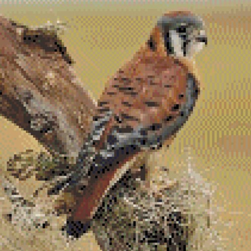 Falcons Cross Stitch Pattern 1 Instant Download Instant PDF - Etsy