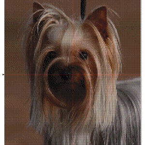 Silky Terrier Cross Stitch Pattern ~ PDF, Instant Download, Yorkshire ...