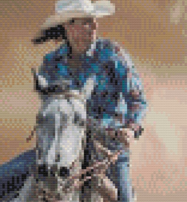 Barrel Race Rodeo Cross Stitch Pattern ~ PDF, Instant Download, Race ...