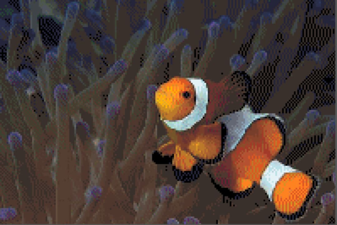 Finding Nemo Anemone Gif