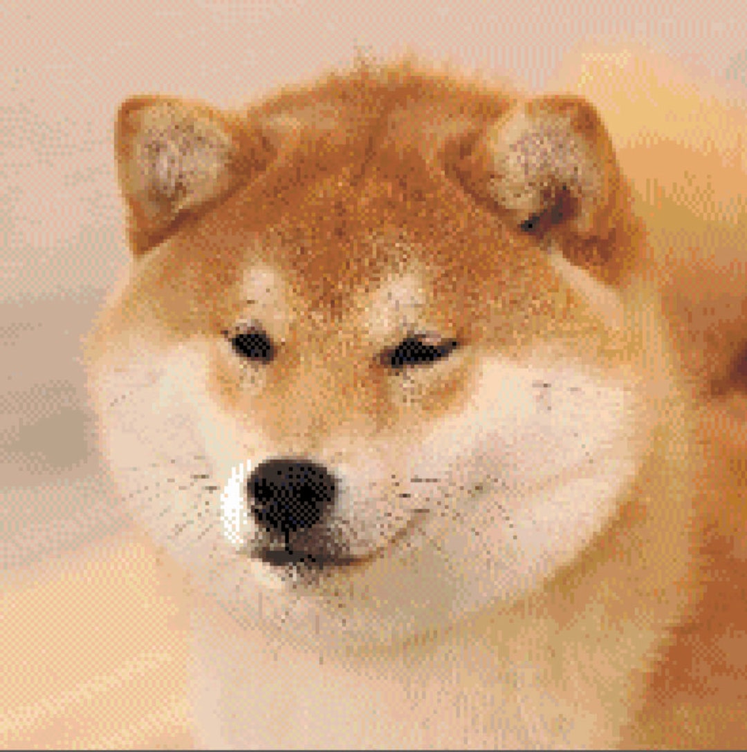 Shiba Inu Dog Portrait Cross Stitch Pattern ~ PDF, Instant Download ...