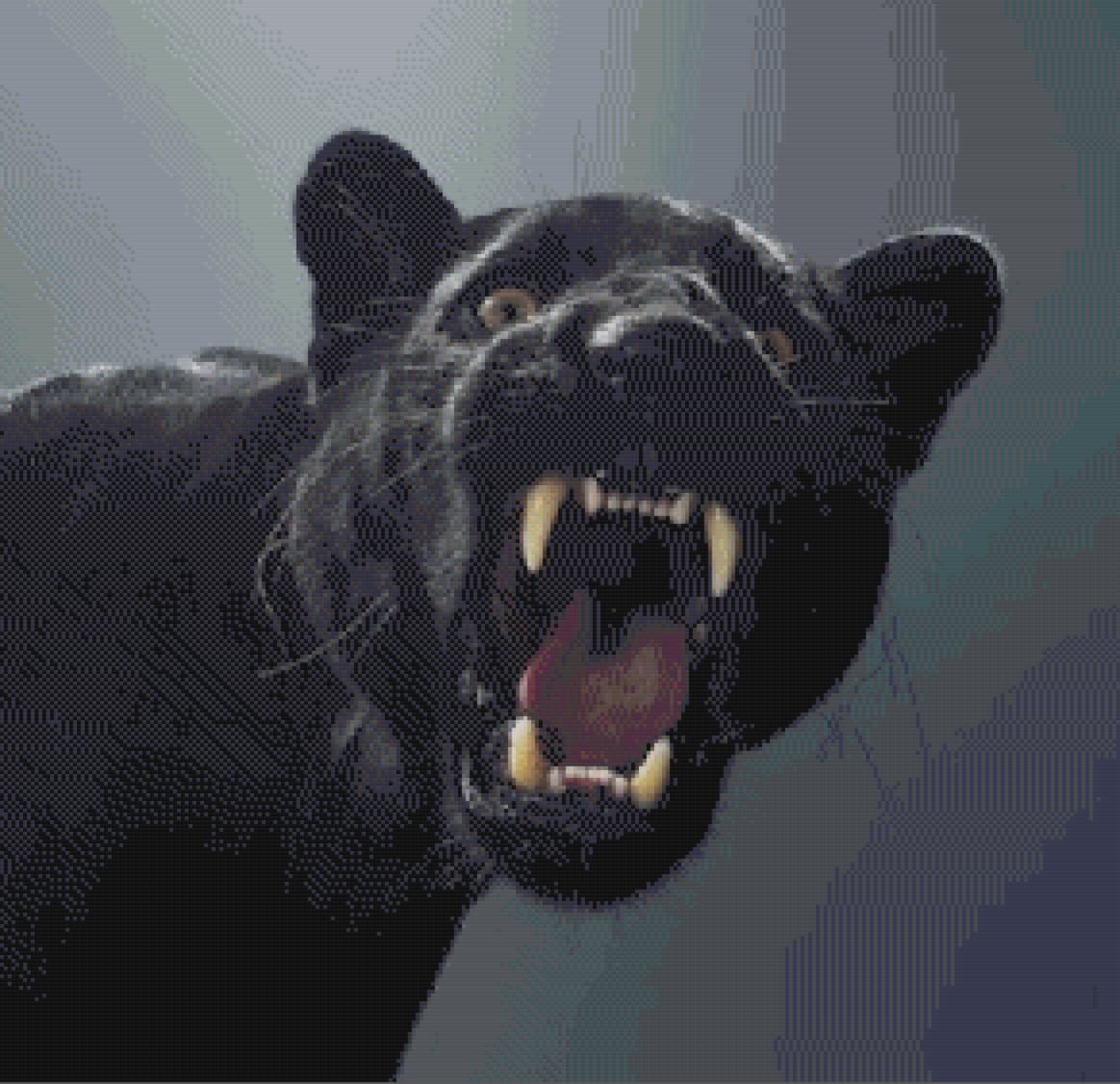 Panther Teeth