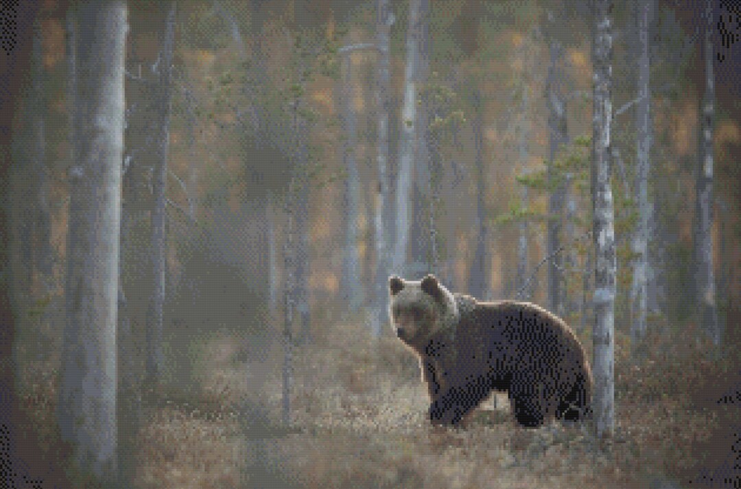 Autumn Grizzly Cross Stitch Pattern PDF, Sofort download, Grizzly Bär ...