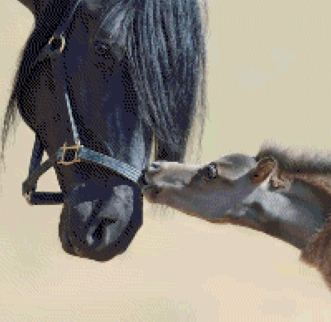 Modèle de point de croix jument et poulain PDF, téléchargement immédiat ...
