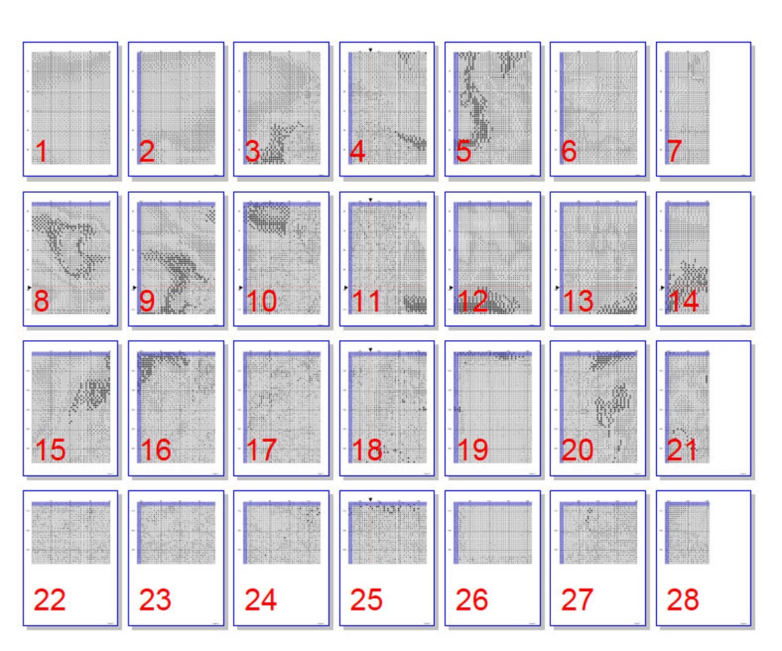 Barrel Race Rodeo Cross Stitch Pattern PDF, Instant Download, Race ...