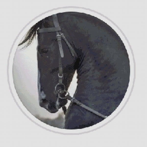 Bridle Pattern - Etsy