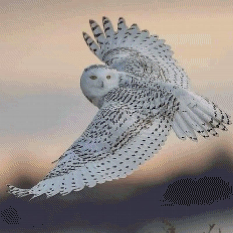 Snowy Owl Pattern - Etsy