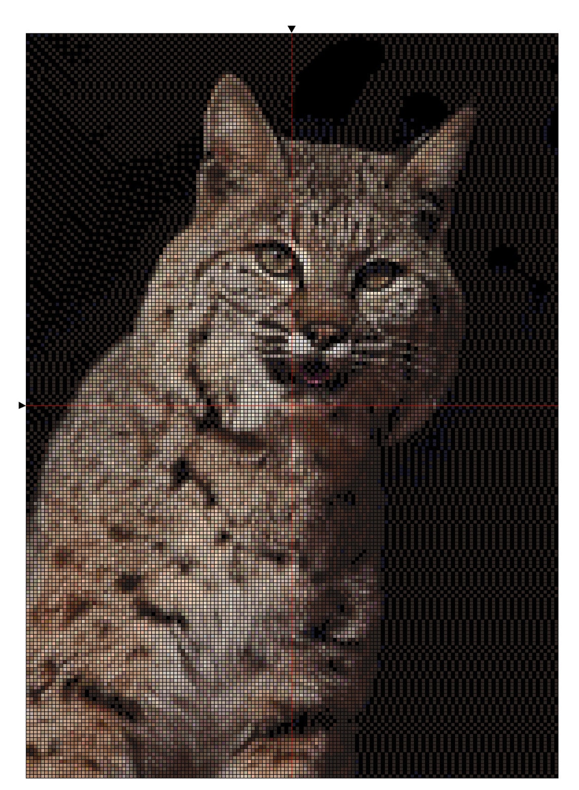 Bobcat Cross Stitch Pattern PDF, Instant Download, Bobcat, Lynx, Big ...