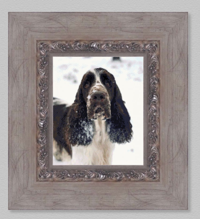 English Springer Spaniel in Snow Cross Stitch Pattern PDF - Etsy UK