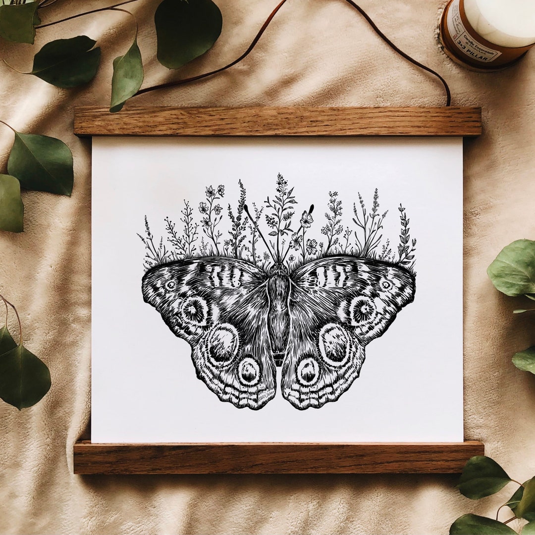 Floral Butterfly Art Print - Butterfly Art, Ink Butterfly Drawing ...