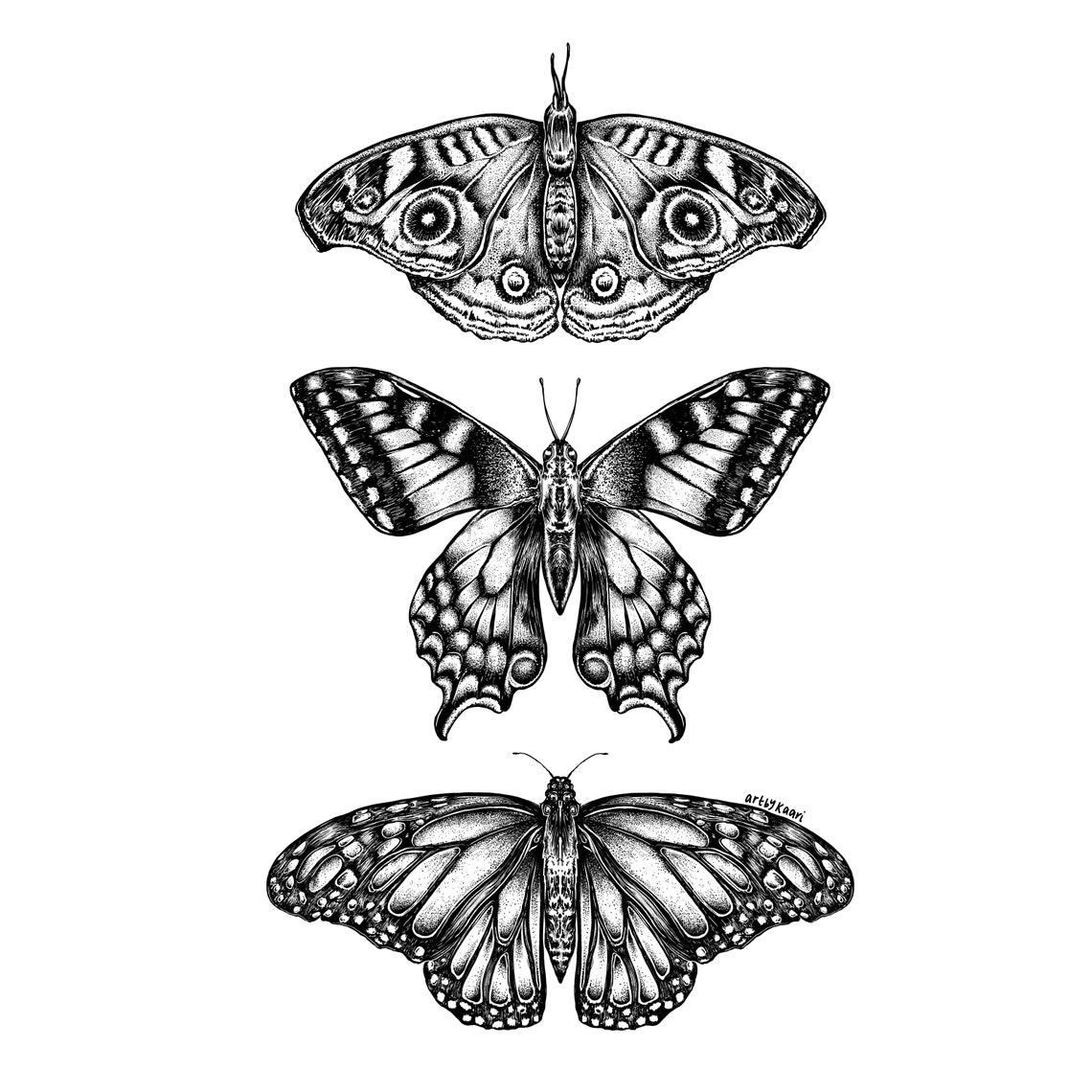 Three Butterflies Art Print Black and White Illustration Art - Etsy