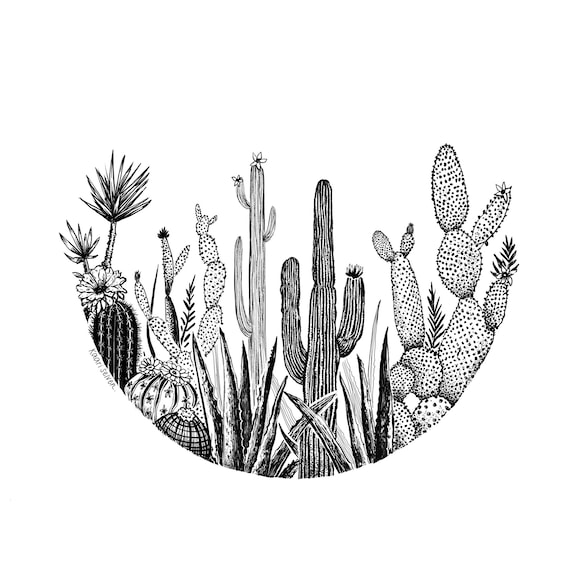 Cactus Drawing Art