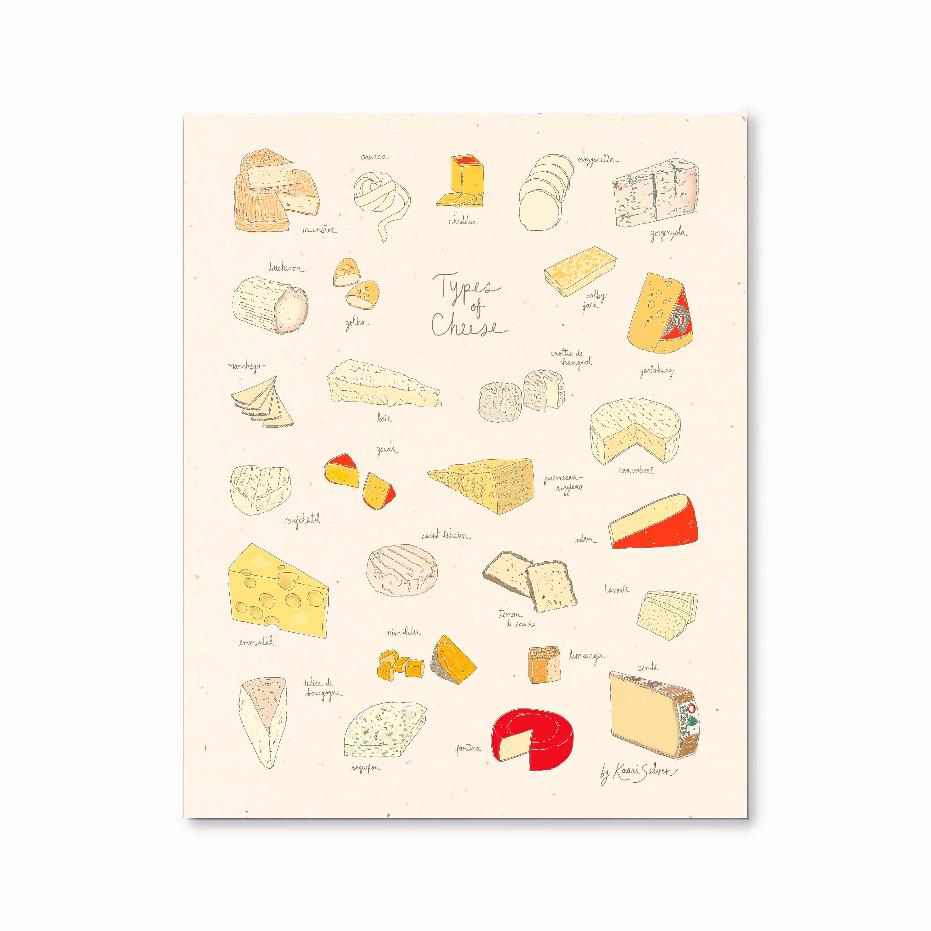 Artisanal Types of Cheese Art Print: Pen and Ink Kitchen Wall Art - Etsy
