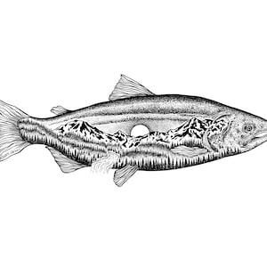 Salmon Art Print - Fishing Gift Fisherman Print Salmon Illustration ...